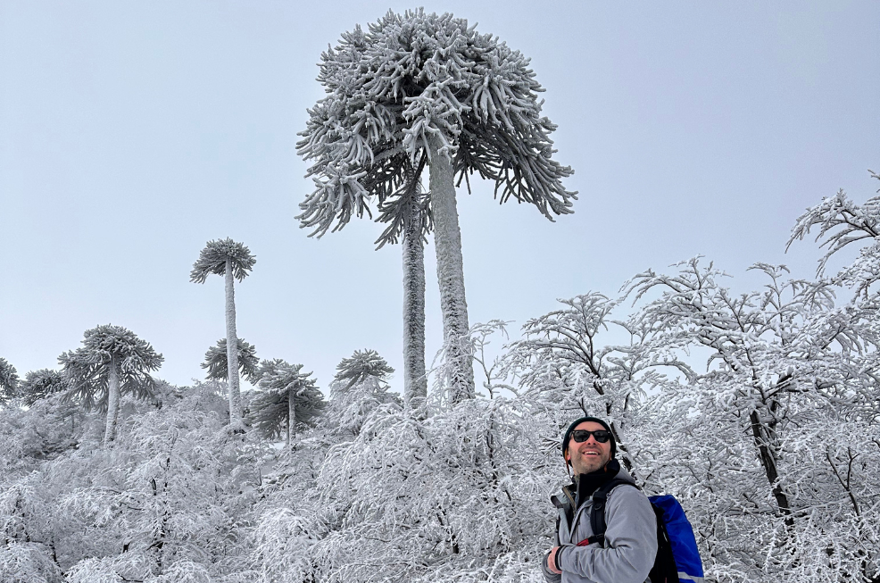 Trekking en el Parque Nacional Conguillio – Alpina Experience
